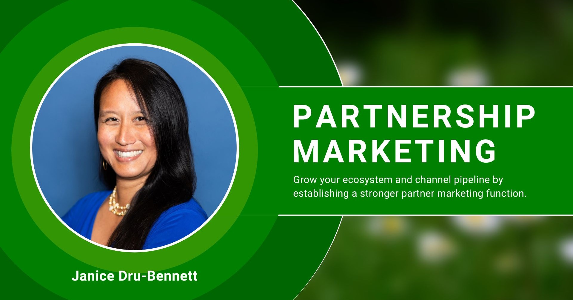 Partnership Marketing by Janice Dru-Bennett on Maven