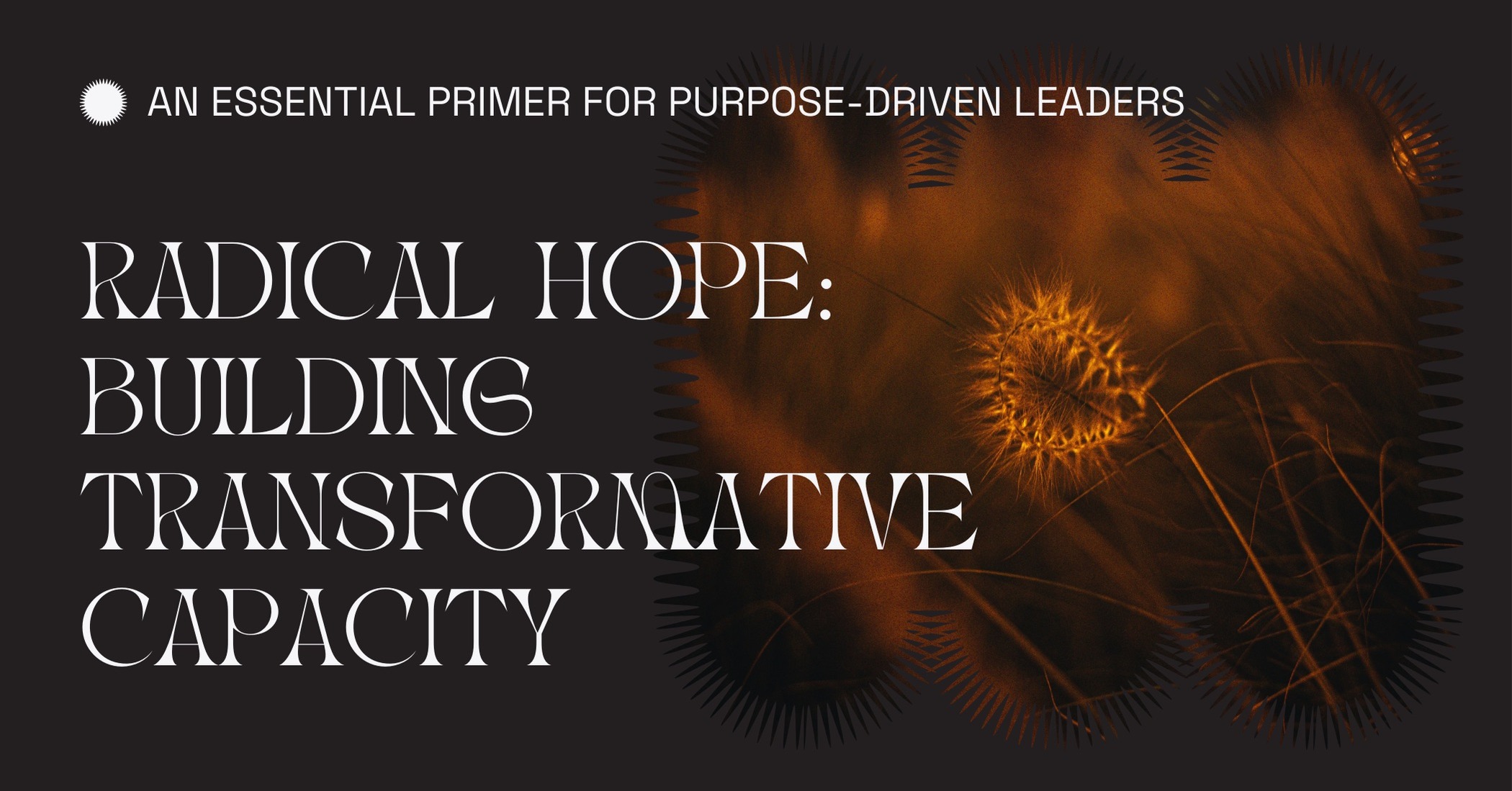 Radical Hope: Building Transformative Capacity by Anwulika Okonjo on Maven