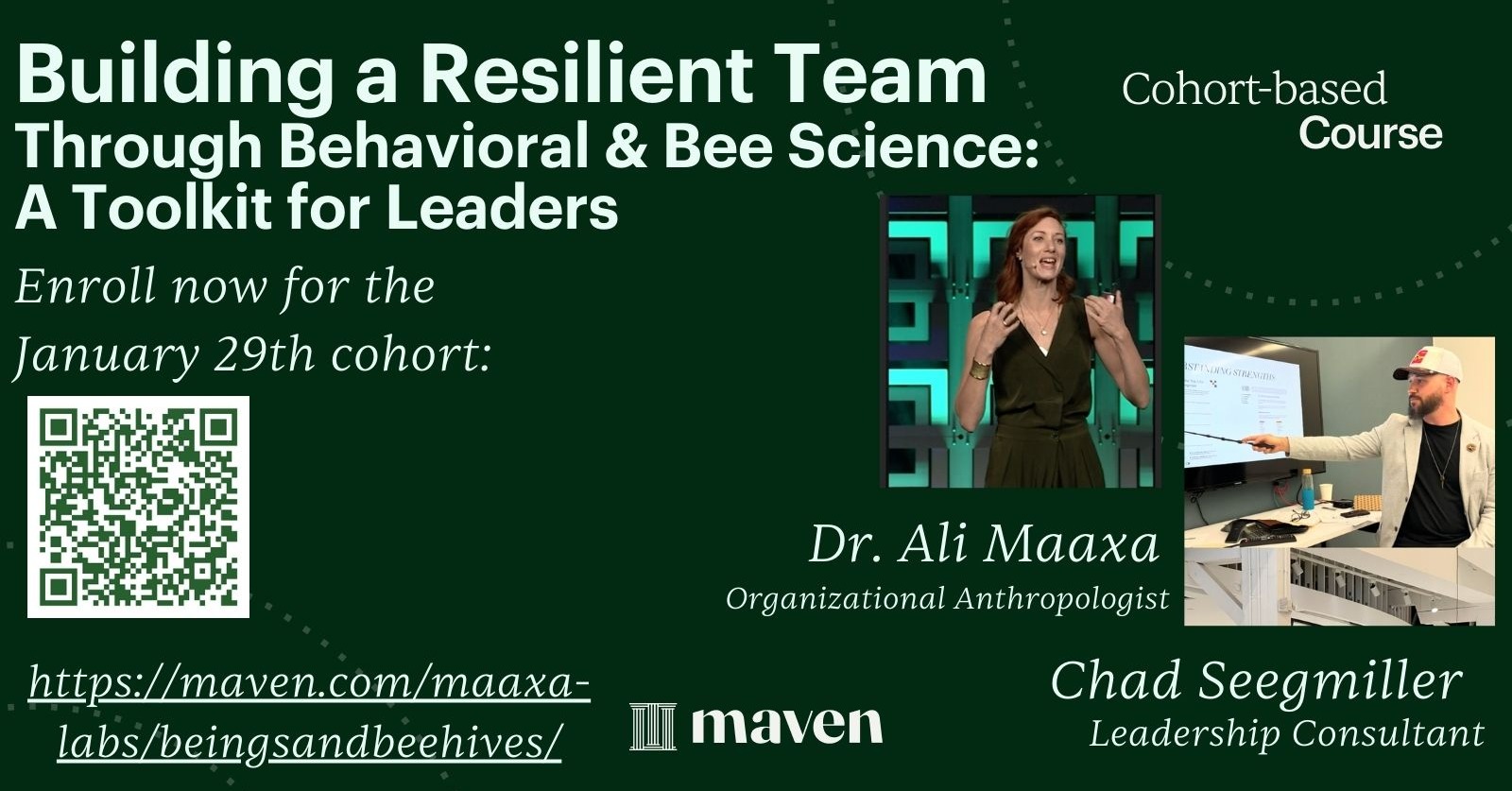 Build a Resilient Team Using Behavioral & Bee Science: A Framework for ...